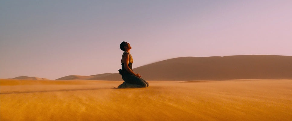 The 12 Best Shots in Film – ArtRKL